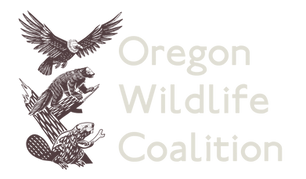 Home - Think Wild - Wildlife Hospital and Conservation Center